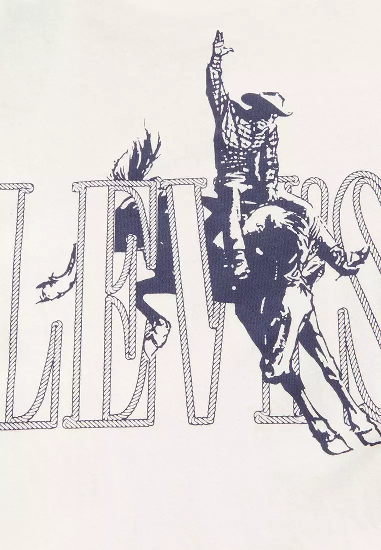 Jual Levi's Levi's® Men's Relaxed Short Sleeve Graphic T-Shirt (16143 ...