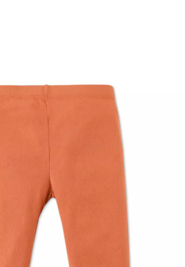 Buy Gingersnaps Girls Ribbed Leggings With Lettuce Edge 2025 Online ...