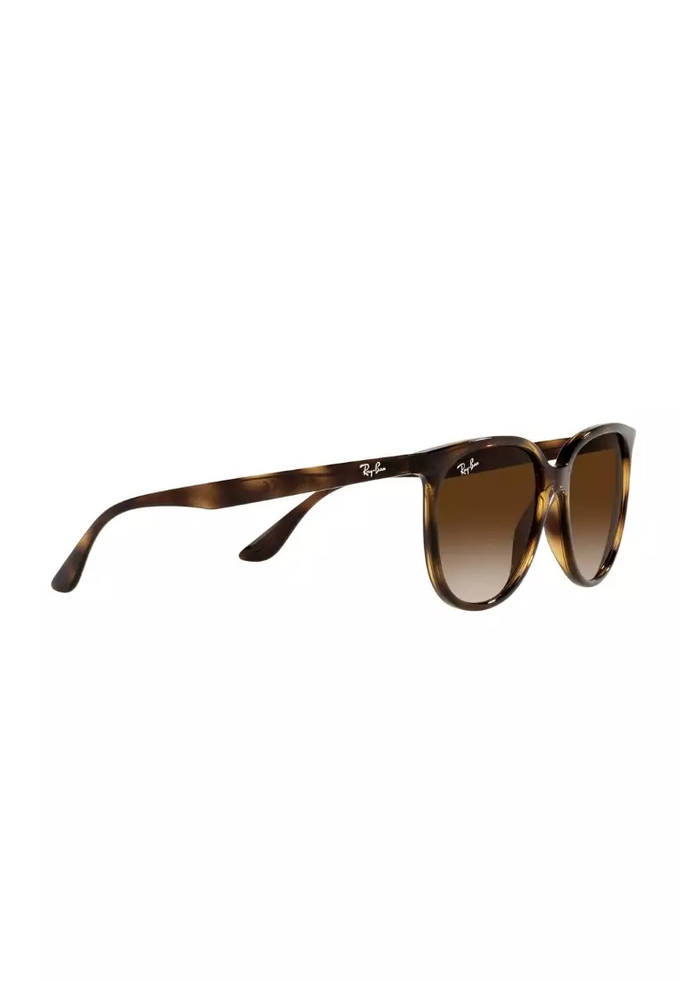 Buy Ray-Ban Ray-Ban Core - RB4378F 710/13 - Sunglasses 2025 Online ...