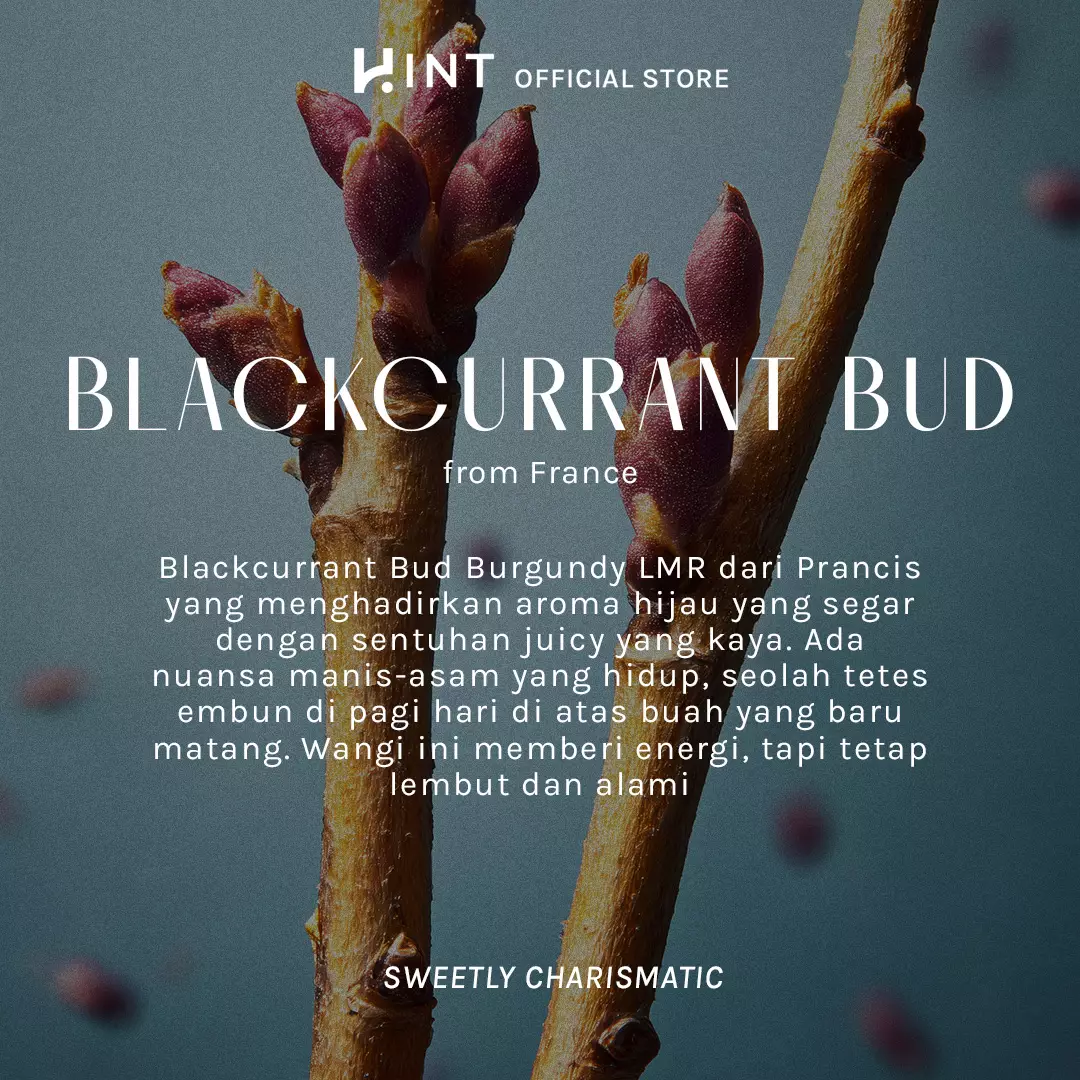Jual Hint [NEW LAUNCHING] HINT Cherise Extrait de Parfum - Unisex ...