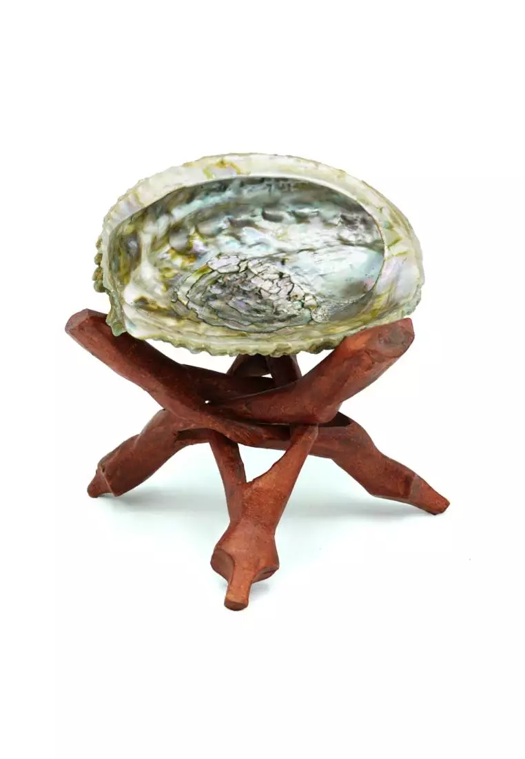Buy diseno Living California Abalone Shell & Mango Wood Stand (Own Farm ...