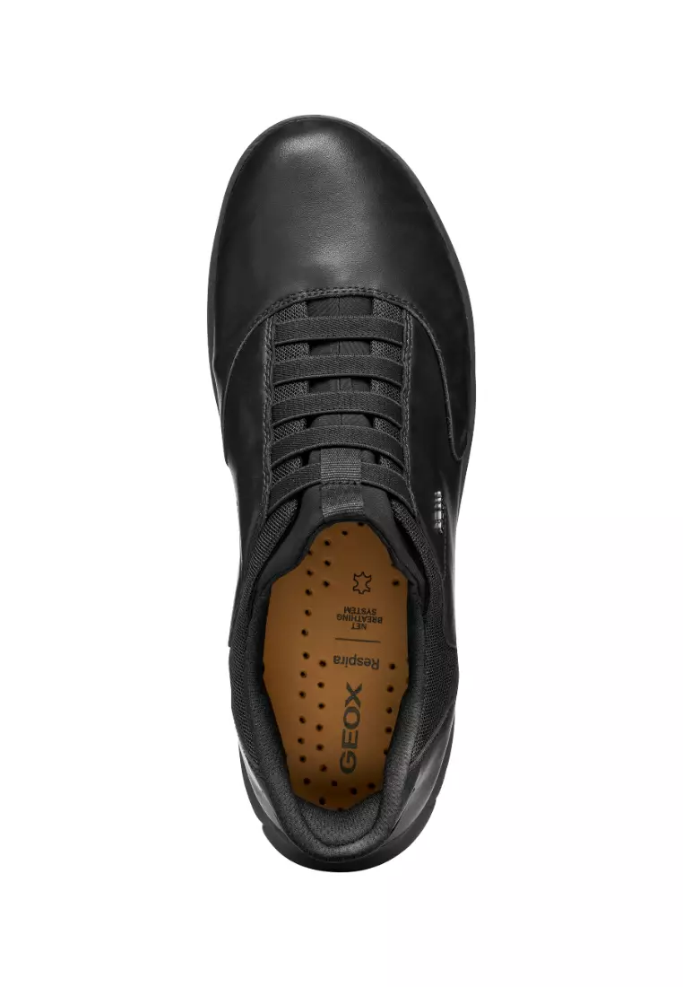Buy Geox GEOX Men Nebula 2.0 Plus Fast In System Sneakers - Black ...